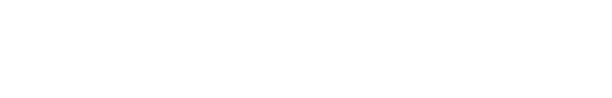 Premium Squirrel Food for Healthy Squirrels | CJ Wildlife