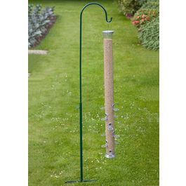 Hirtenstab Riesenfuttersäule