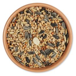 Traditional Seed Mix