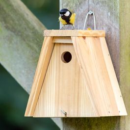DIY 28mm Nest Box Nala | Bird Box & Bird House for Small Birds