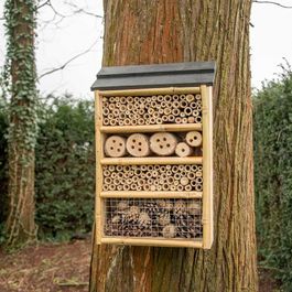 Capri Bee & Insect Hotel for sale | CJ Wildlife
